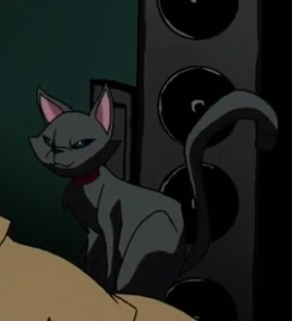 Isis | The Batman (2004) Wiki | Fandom