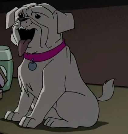 Princess | The Batman (2004) Wiki | Fandom