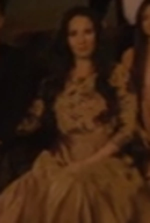 Isabella Falcone | The Batman Universe Wiki | Fandom