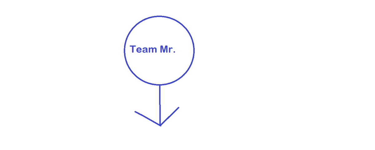 Team Mr. | The Battle for a Mansion! Yay! Wiki | Fandom
