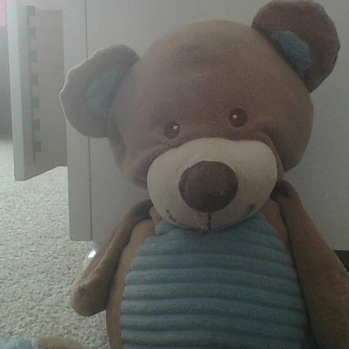 Blue Bear | The Bears Wiki | Fandom