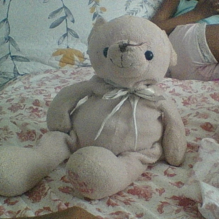 Butterfly Friends | The Bears Wiki | Fandom