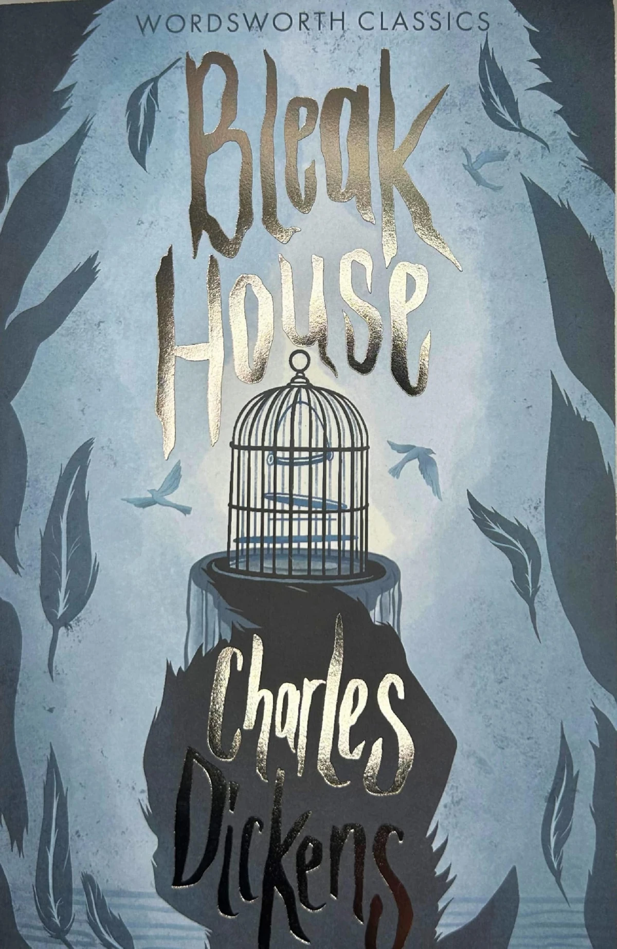 Bleak House (Book) | The Big Read Wiki | Fandom
