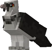 Bearded Vulture | The Birdwatching Mod Wiki | Fandom