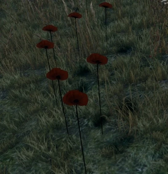 Poppy | The Black Death Wiki | Fandom