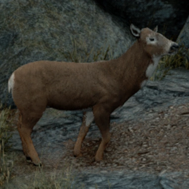 Doe | The Black Death Wiki | Fandom