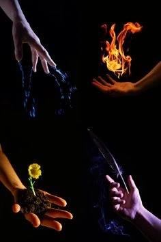 Fae | The Black Witch Chronicles Wiki | Fandom