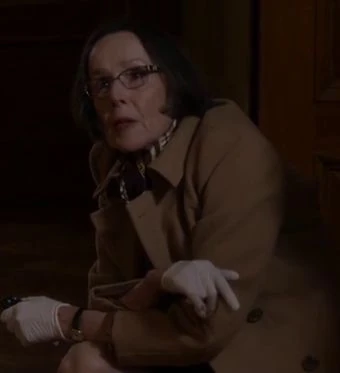 Mr. Kaplan | Wiki The Blacklist | Fandom