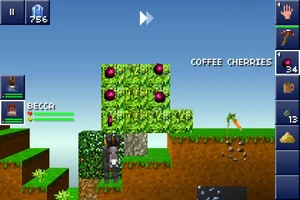 Coffee Cherry | The Blockheads Wiki | Fandom