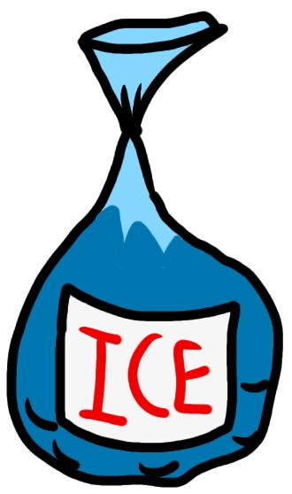 Ice Bag | The Bloody Choice Game Wiki | Fandom