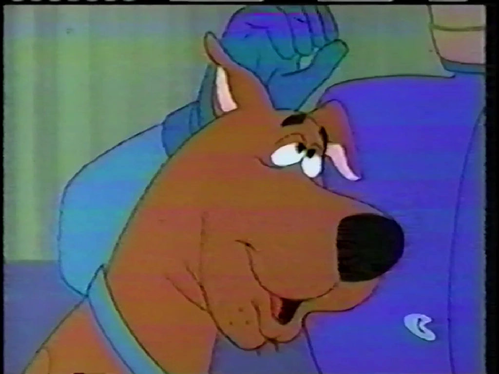 January 26, 2004 | The Boomerang Archives Wiki | Fandom