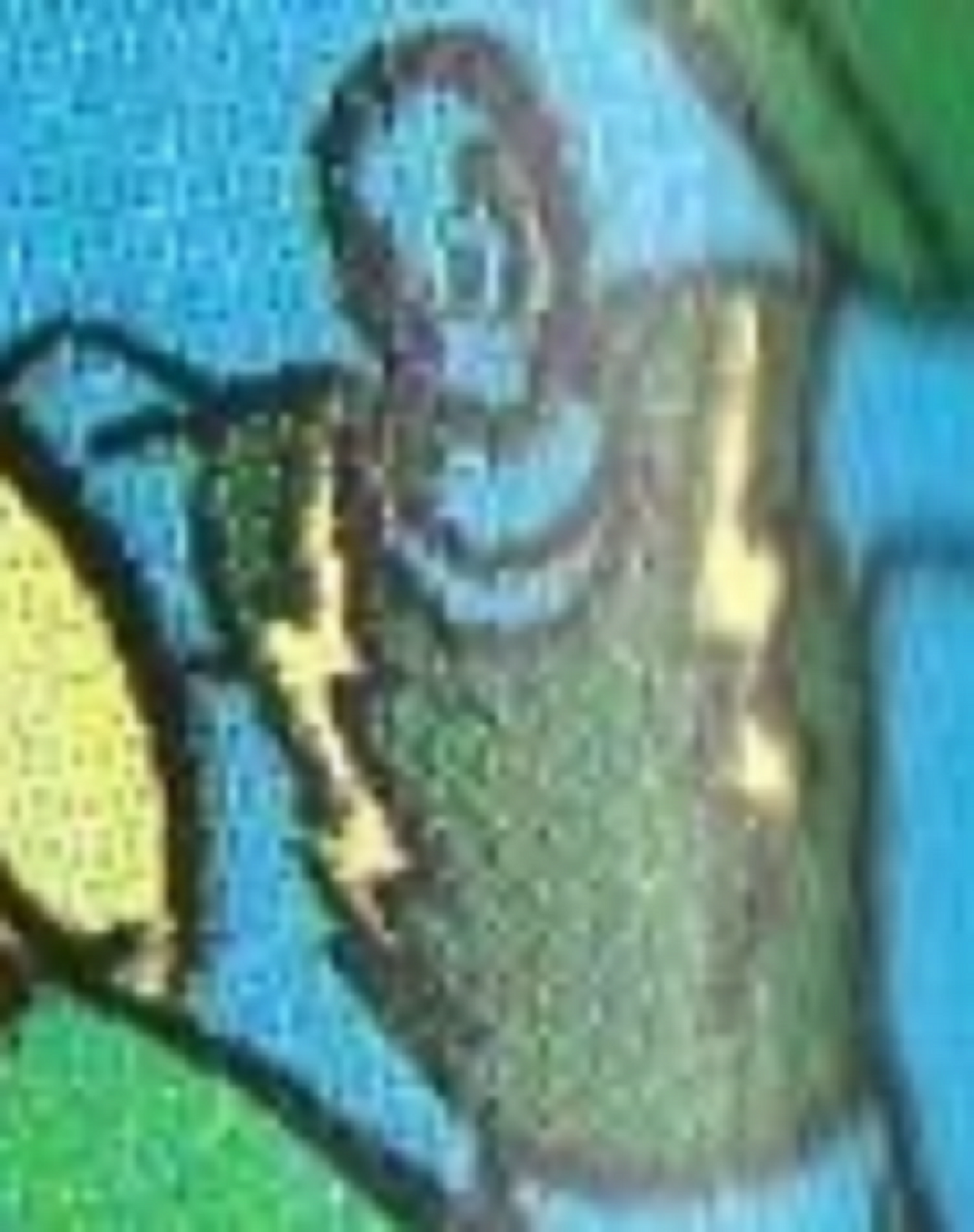 Electro Cvi Ma The Brain Strummers Wiki Fandom