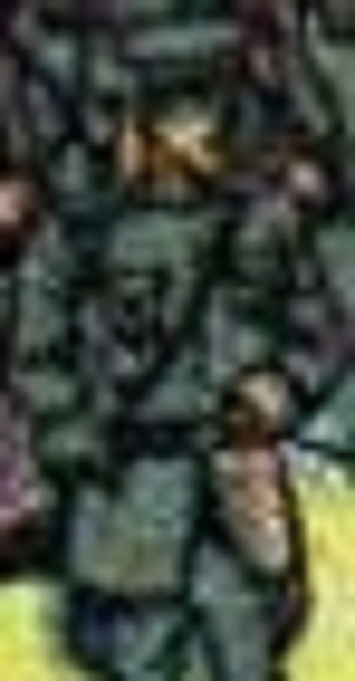 Hokayo (Imperial Japan) (DCU:UC) | The Brain Strummers Wiki | Fandom