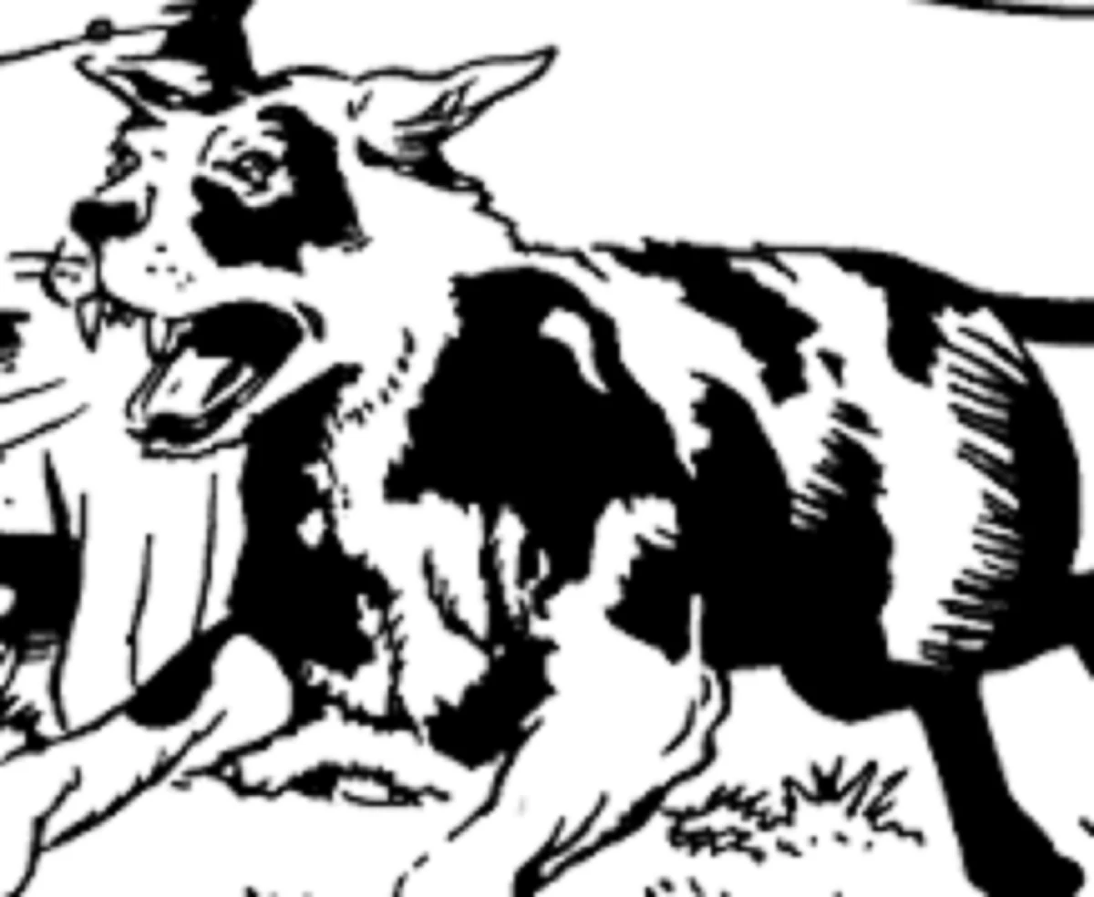 Pasha (Dog) (MA) | The Brain Strummers Wiki | Fandom