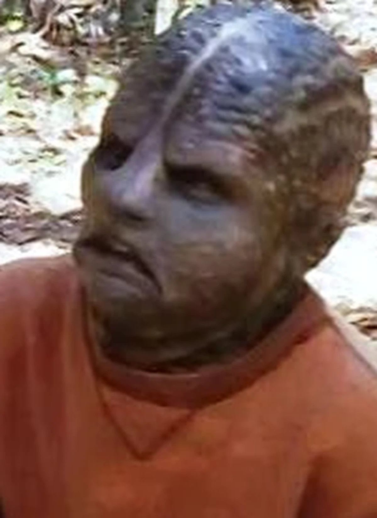 Toad Boy (DCU:UC) | The Brain Strummers Wiki | Fandom