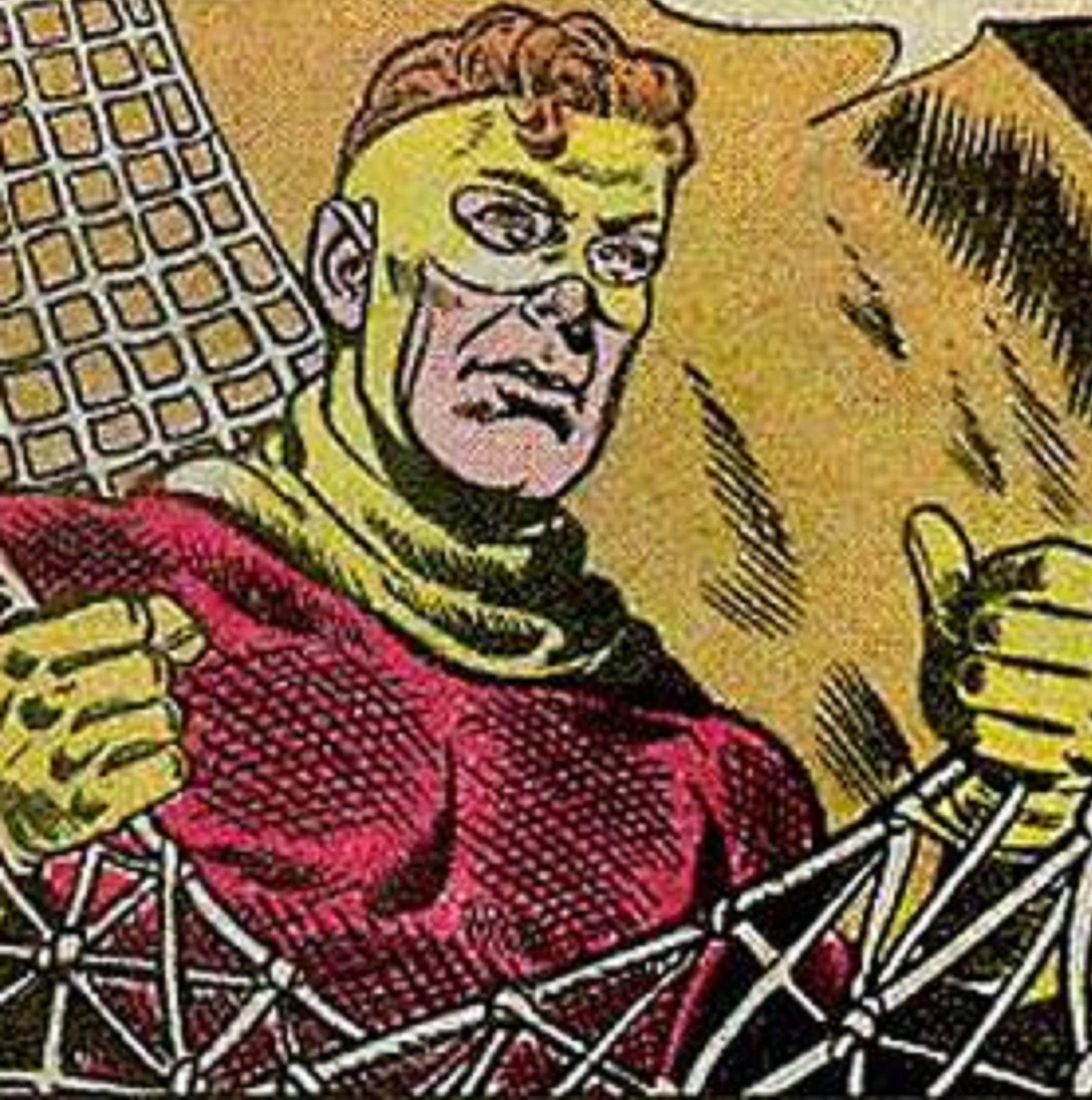 The Net (DCU:UC) | The Brain Strummers Wiki | Fandom