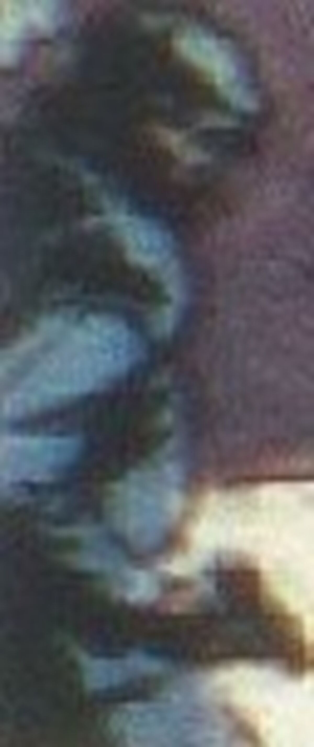 Trigger Monk Morton Henchman Dcuuc The Brain Strummers Wiki