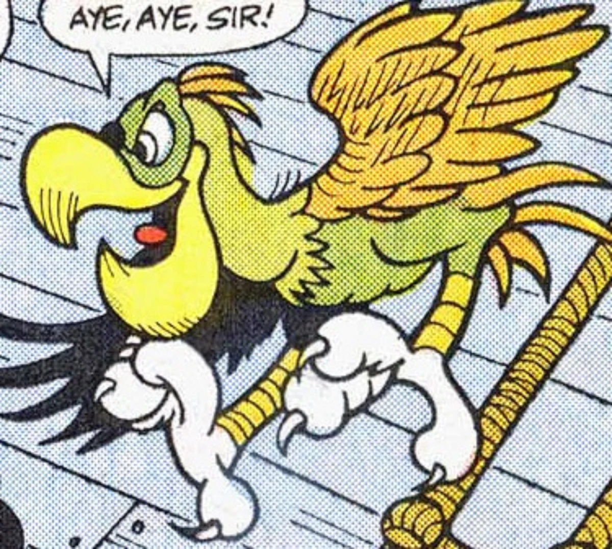 McCaw (Parrot) (MA) | The Brain Strummers Wiki | Fandom