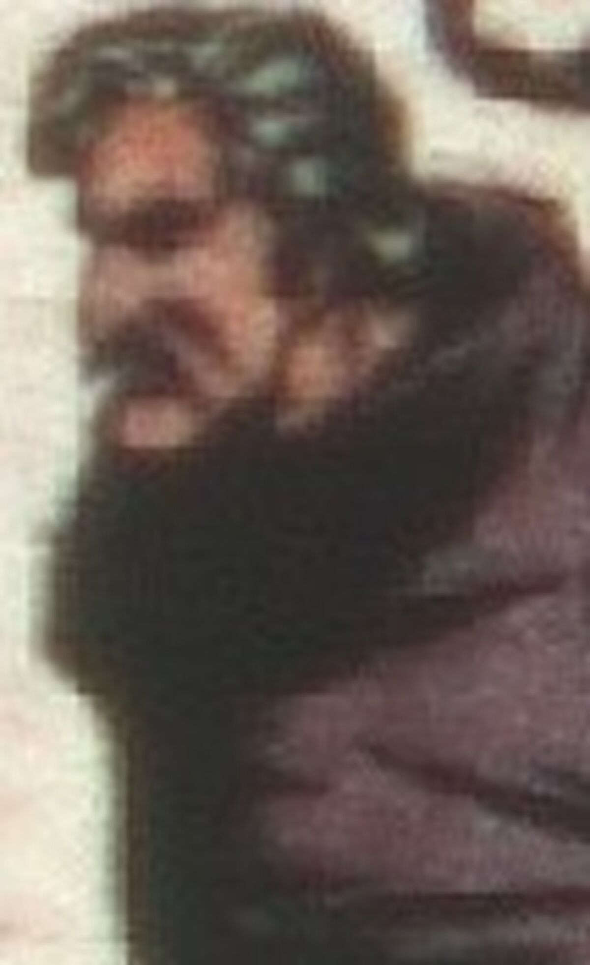 Jed Tomkins Dcuuc The Brain Strummers Wiki Fandom