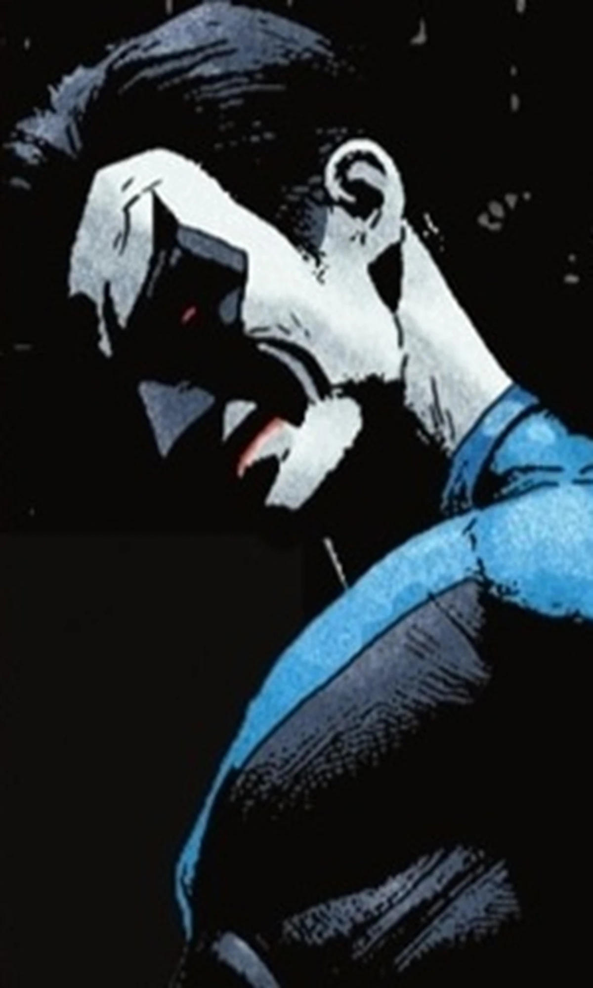 Nightwing/Richard Grayson (Nightmare of Darkness) (DCU:UC) | The Brain ...