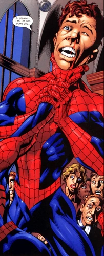 Spider-Man Impostor (MA) | The Brain Strummers Wiki | Fandom