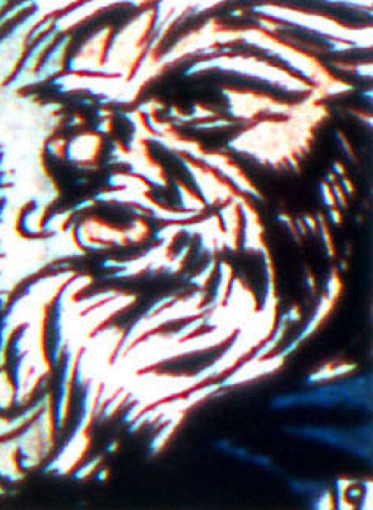 Bluebeard Original Ma The Brain Strummers Wiki Fandom
