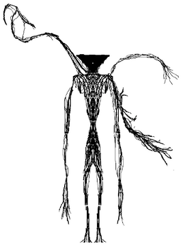 The Broken End | The Broken Script Wiki | Fandom