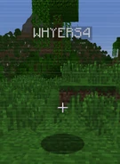 WHYERS4 (Cave Nickname) | The Broken Script Wiki | Fandom