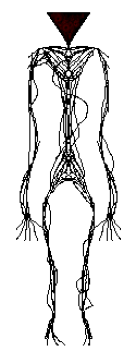 Spectrum 11 | The Broken Script Wiki | Fandom