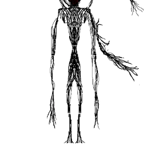 Discuss Everything About The Broken Script Wiki | Fandom