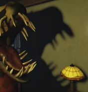 Cow | The Butchery Wiki | Fandom