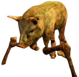Pig | The Butchery Wiki | Fandom