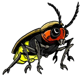 Thunder bugs | The Butterfly Princess Wiki | Fandom