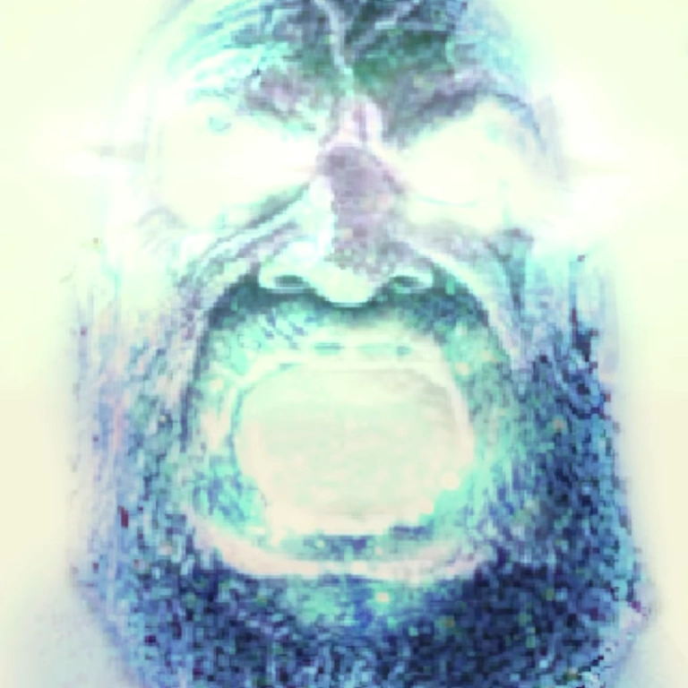 Phase 12 | The Canny Incredible Wiki | Fandom