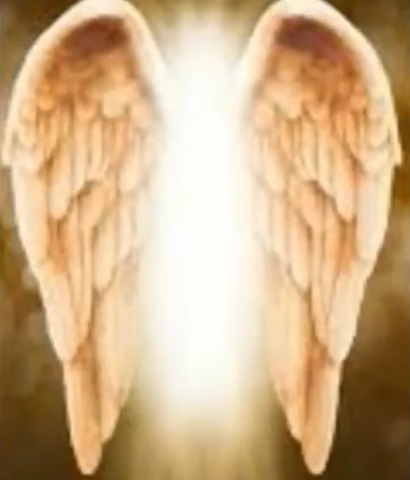 Phase 16 (All Stars) | The Canny Incredible Wiki | Fandom