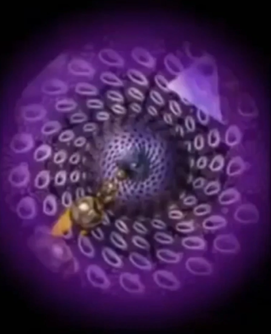 Phase 167 | The Canny Incredible Wiki | Fandom