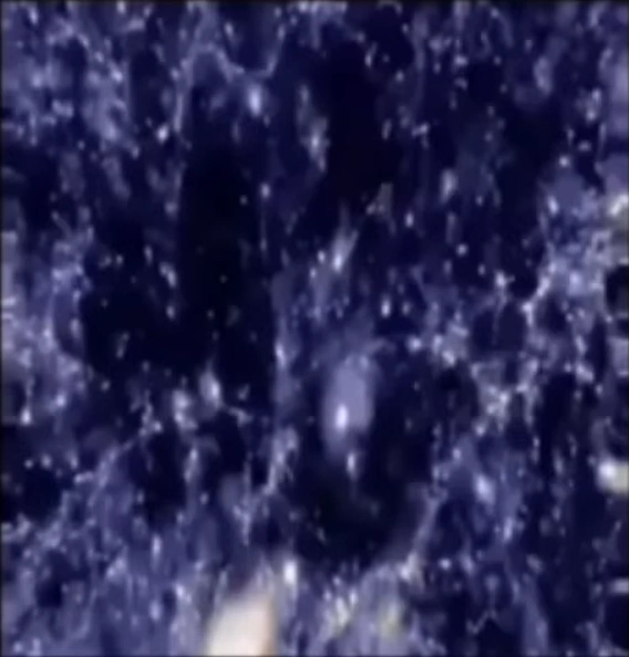 Phase 39 | The Canny Incredible Wiki | Fandom