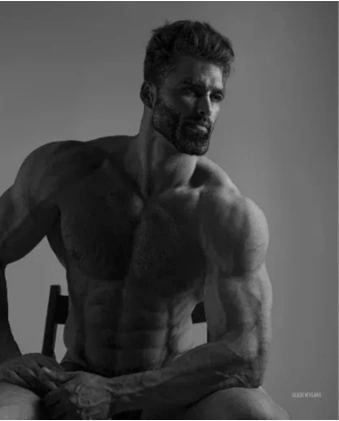 Phase 13 (All Stars) | The Canny Incredible Wiki | Fandom