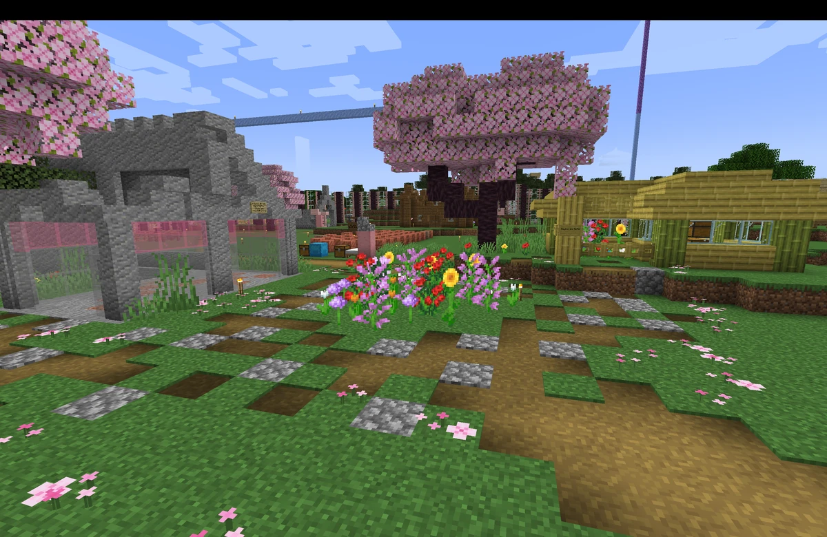 Oasis Circle | The Carly SMP Wiki | Fandom