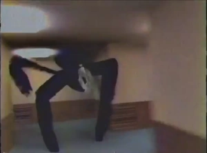 Spider | The Cat Entertainment Wiki | Fandom