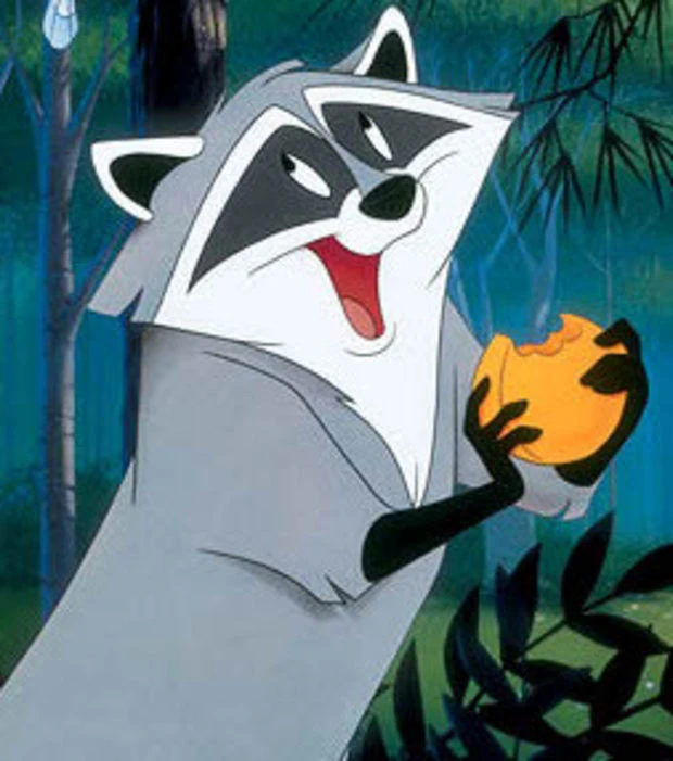 Meeko | The Cat House Wiki | Fandom