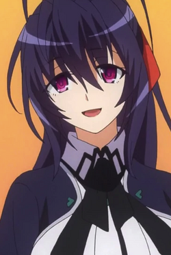 Akeno Himejima | The Challenge: Anime Wiki | Fandom