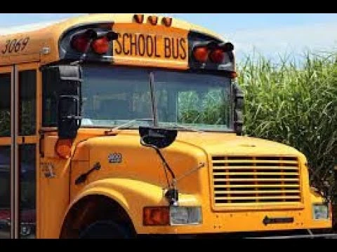 Bus review 43 | The Channel Of Egg Wiki | Fandom