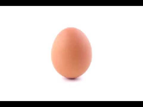 Channel of Egg Video Game (GBA) Piracy Screen | The Channel Of Egg Wiki ...