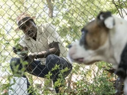 Quentin Dickinson | The Chi Wiki | Fandom