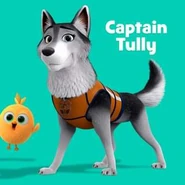 Captain Tully/Gallery | The Chicken Squad Wiki | Fandom