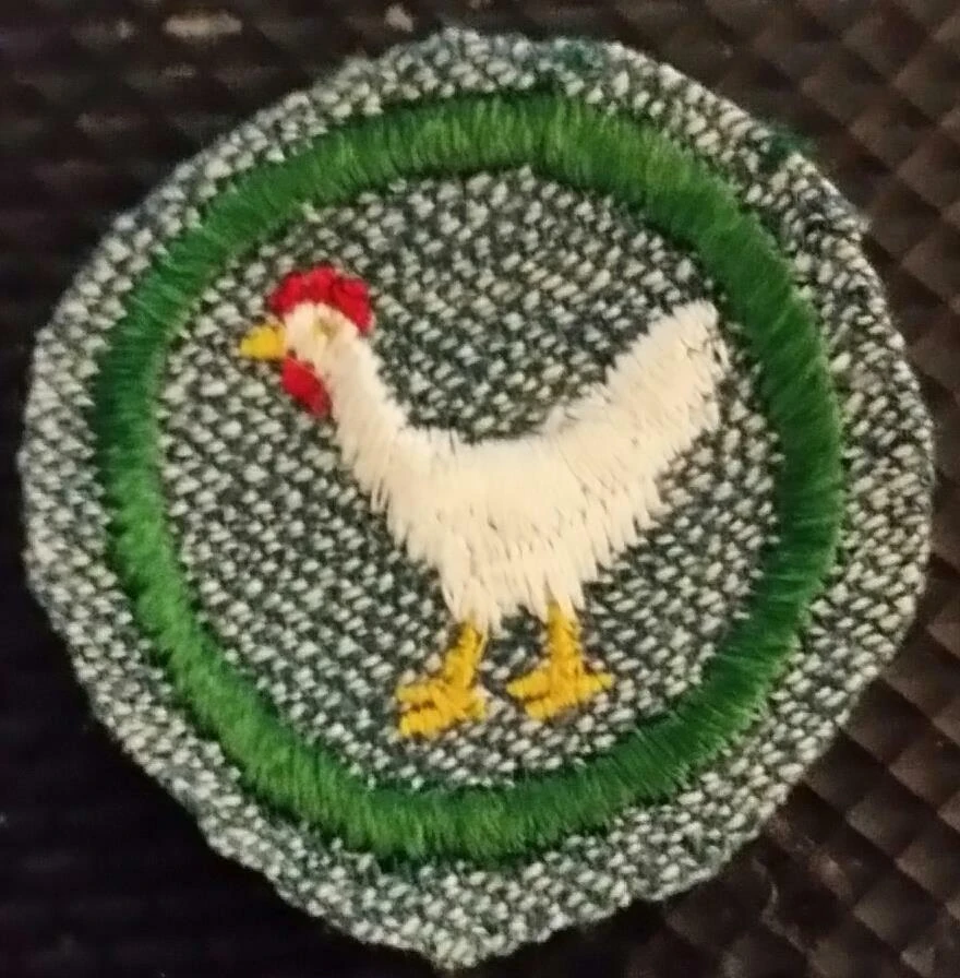 Poultry Raiser Girl Scout Badge | The Chicken Wiki | Fandom