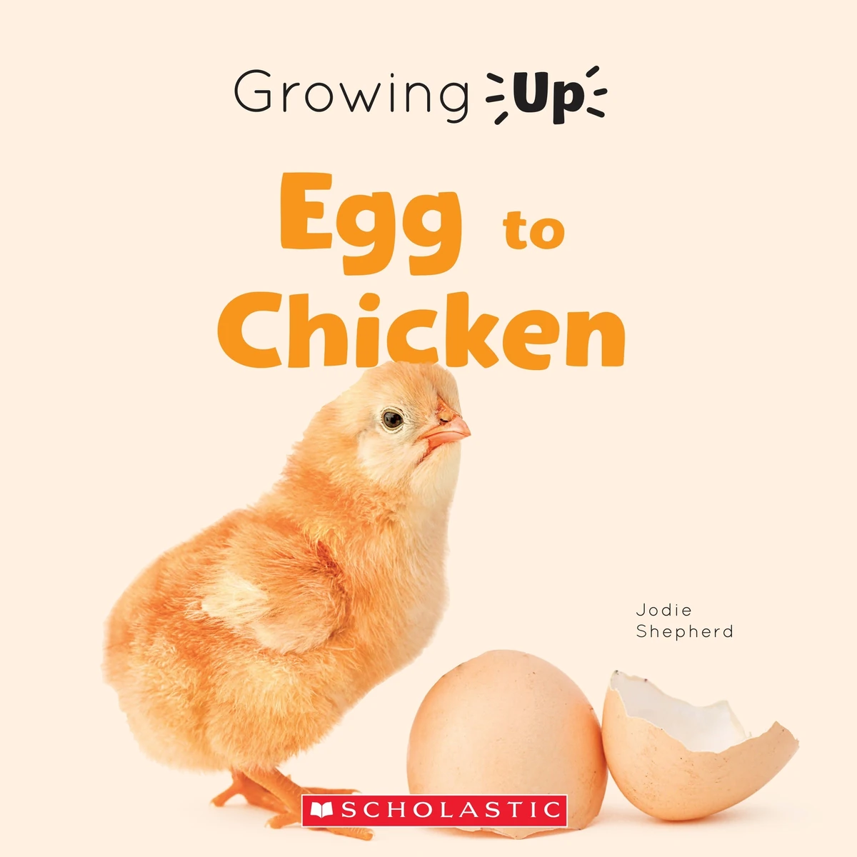 Egg to Chicken | The Chicken Wiki | Fandom