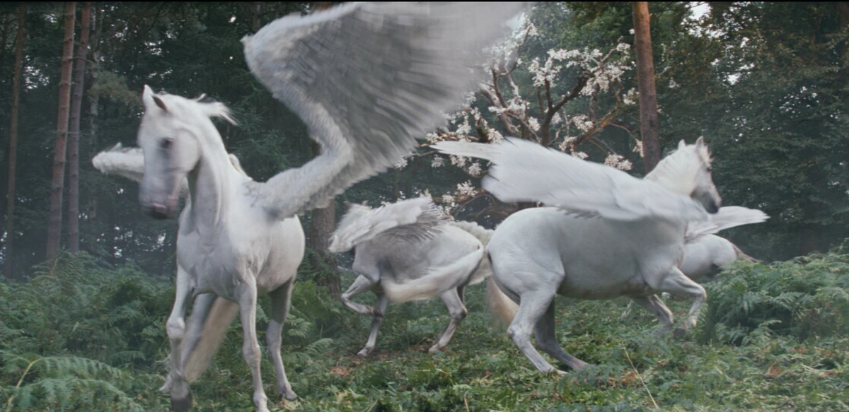 Pegasus | The Chronicles of Andalasia Wiki | Fandom