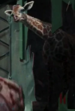 Giraffe | The Chronicles of Andalasia Wiki | Fandom